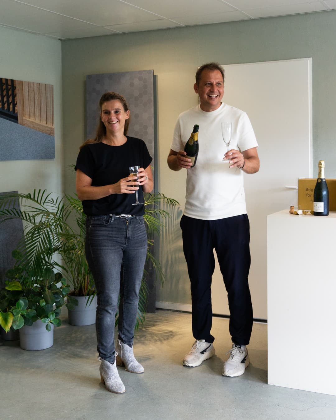 Solarix solar panels for facades and roofs | Solarix