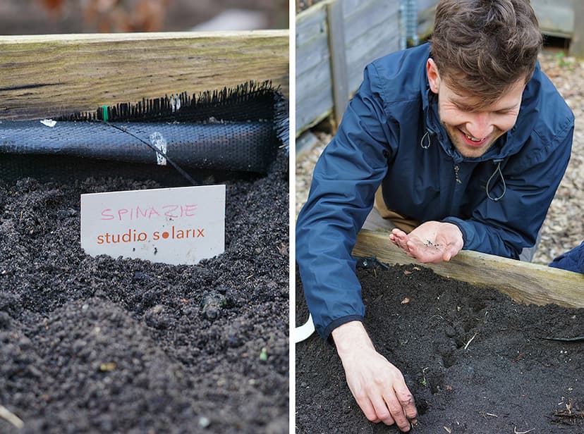 Green mission, green fingers | Solarix